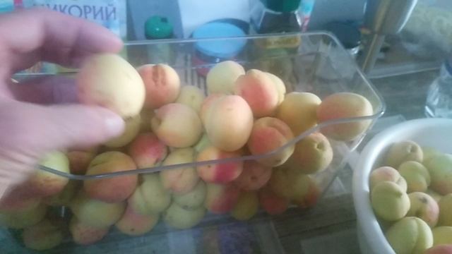 VID_20250619_155036.mp4