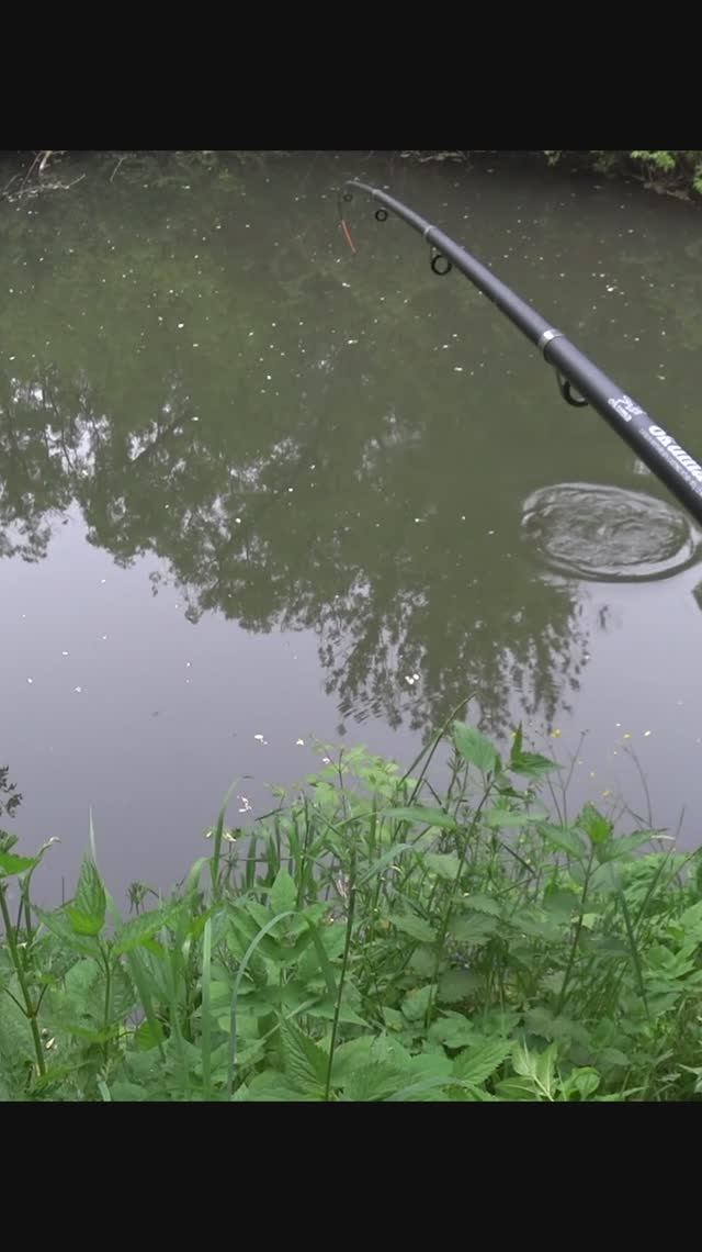 Этого я никак не ожидал - щука схватила майского жука! #рыбалка #щука #ловлярыбы