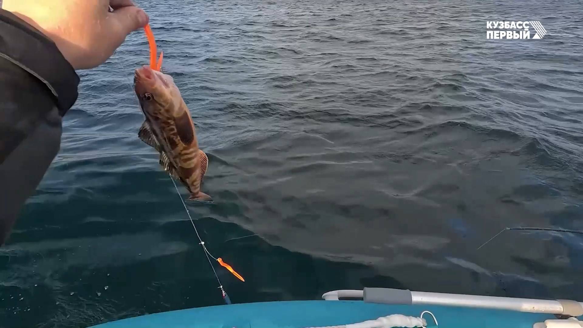 Сибирский лов. Выпуск 78