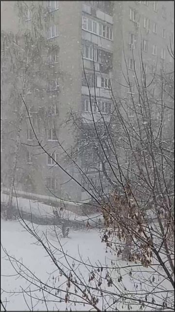 06 марта 2023 года в Подольске