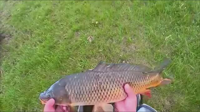 ОТ ТАКОГО САЗАНА ДУГИ ТРЕЩЯЛИ!!! ВЕСЕНИЙ САЗАН НА ПАУК.