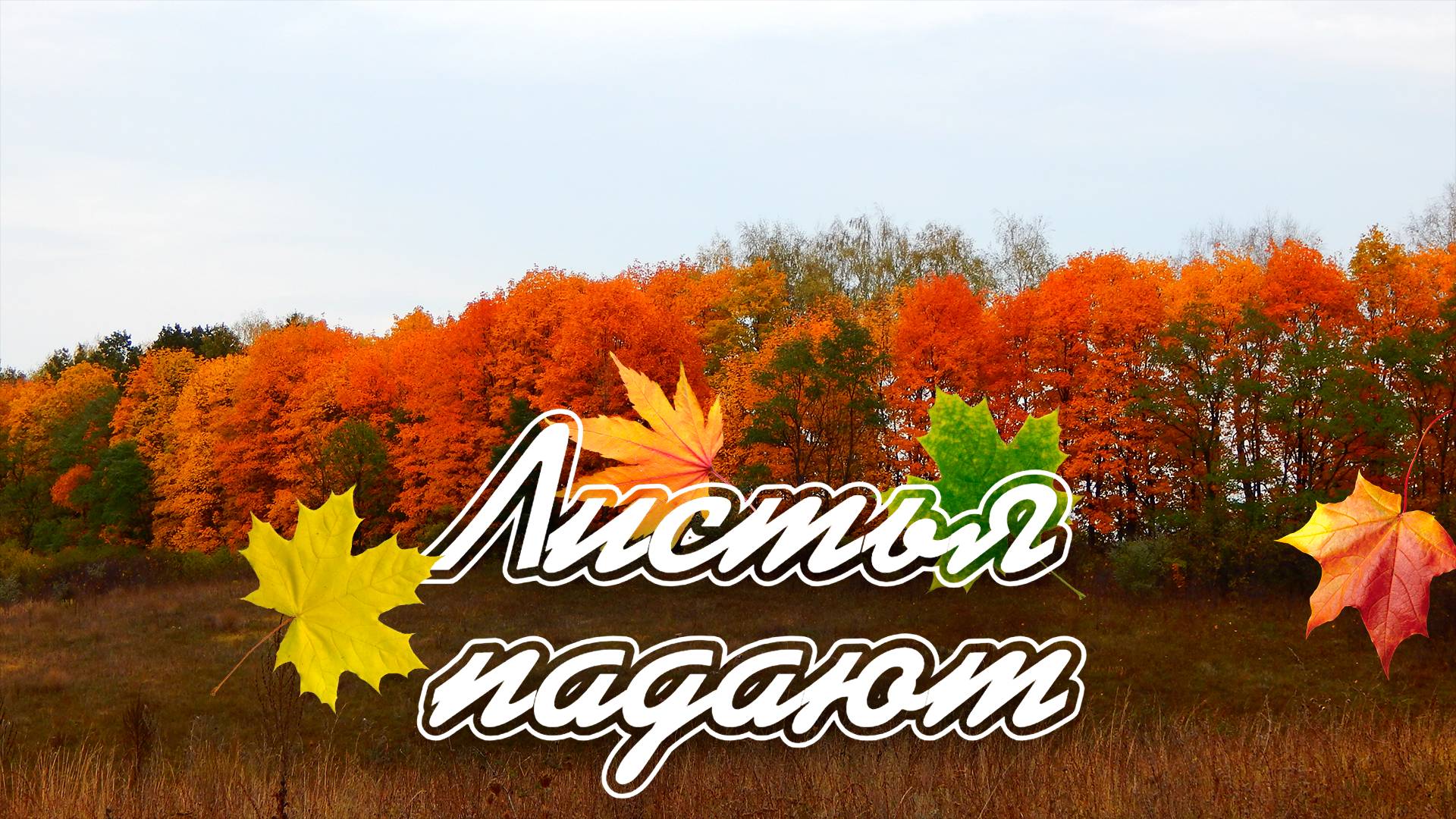 Листья падают. Музыка С.Чекалина