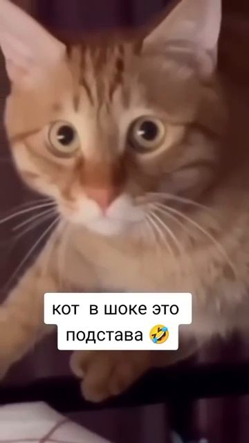 RUTUBE-мошенник, верни монетизацию на канал