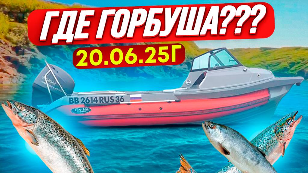где Горбуша 20.06.25г ???