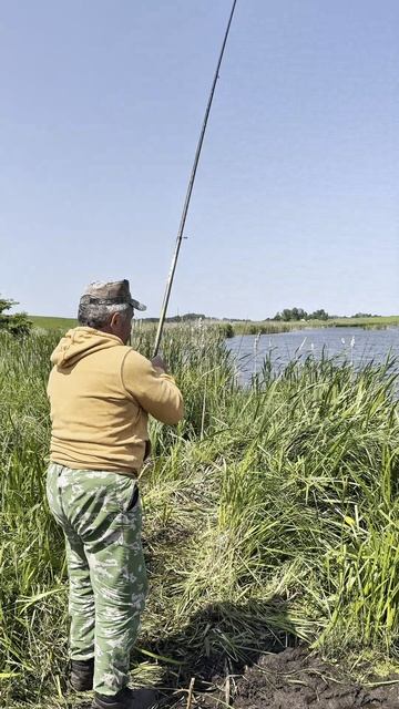 Лето 🌞 Рыбалка 🎣 Природа 🏕️🦅🦢 #рыбалка #лето #природа  #fishing #nature
