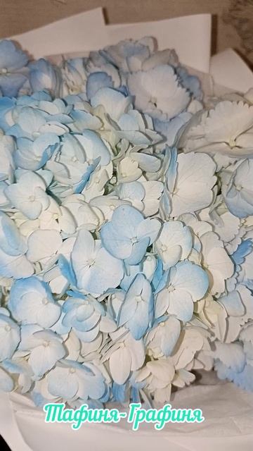 😻Вас не будут критиковать......😉