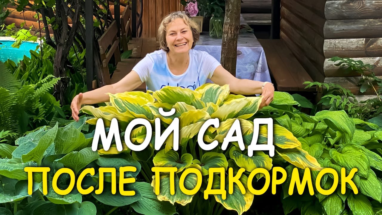ЛЮБИМЫЙ САД.  ЧТО РЕАЛЬНО ПОМОГАЕТ ПРОТИВ ТЛИ. НОВЫЕ ИДЕИ.