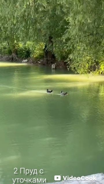 Красивые поля Крыма