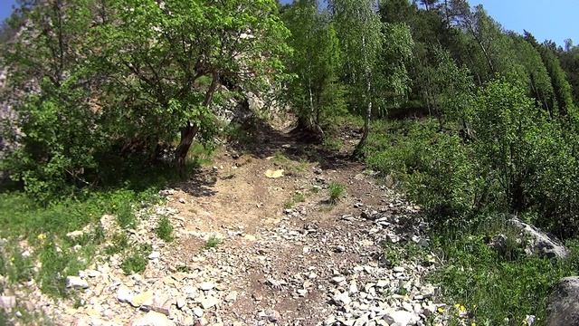 2025_06_01_2295_2302_Царские_Ворота