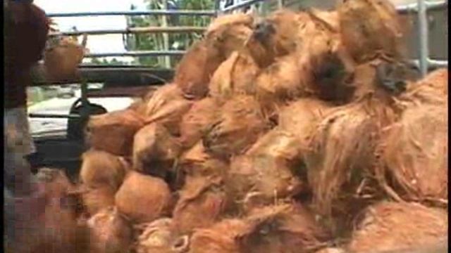 Reading Explorer - Unit 1 Monkey College