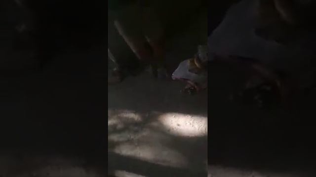 Урок сербских танцев