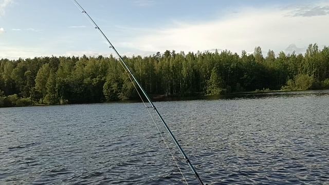 Свободные полянки на водоёме.