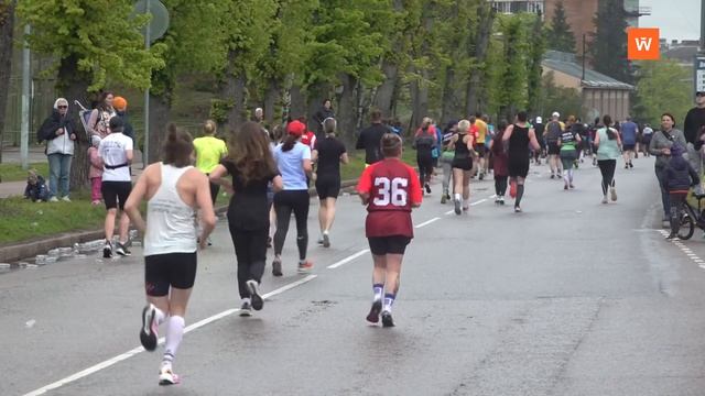 Видеозарисовка «Выборг спортивный»