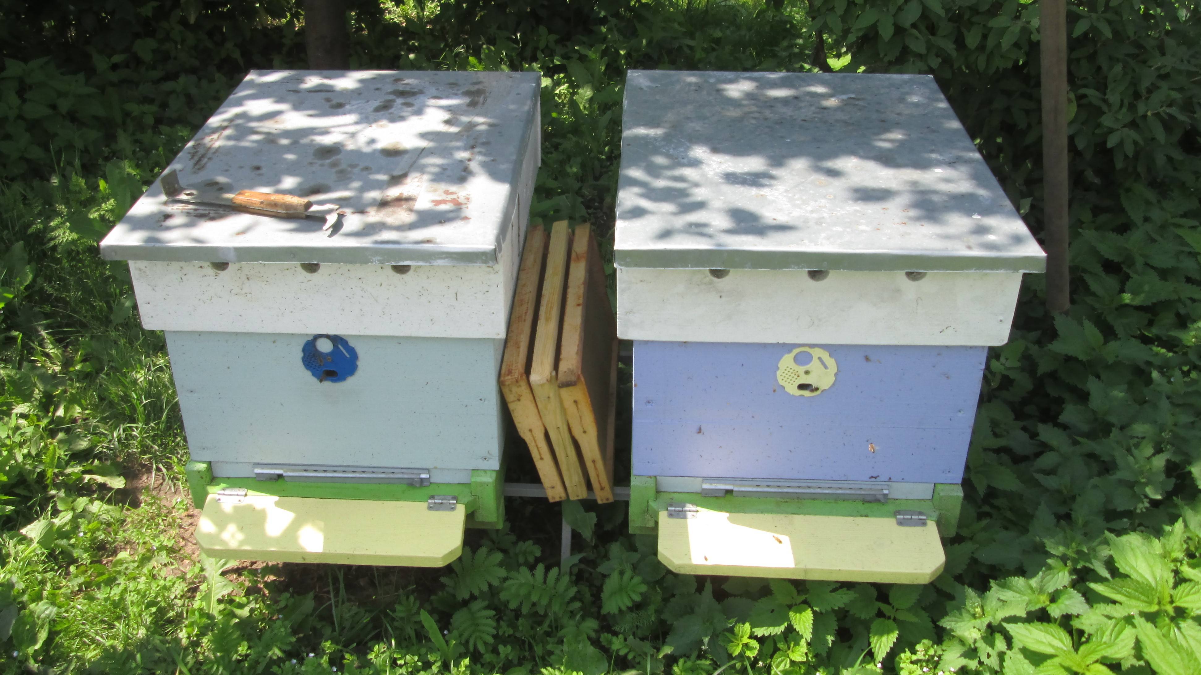 Расширение пчелопакета