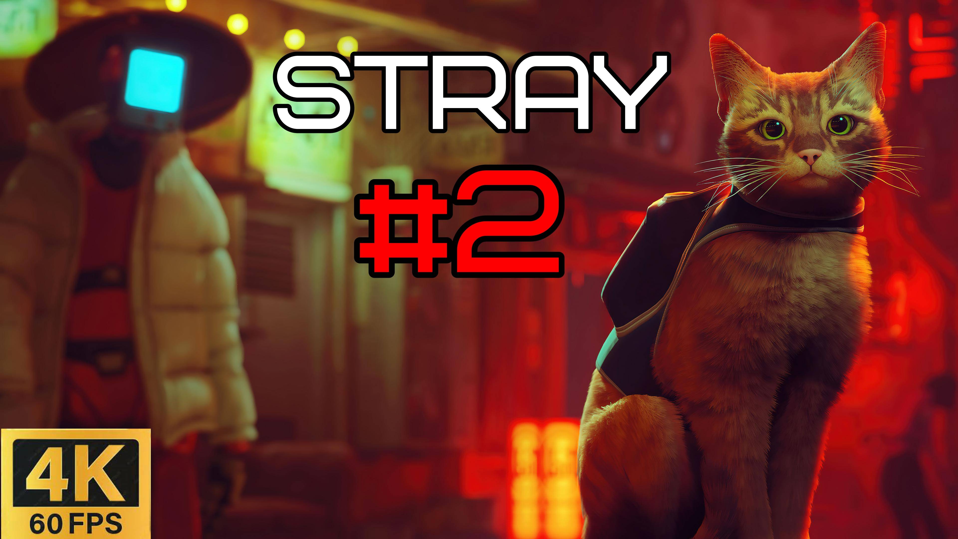 #2 STRAY | Котик | Прохождение | HOAX_PC