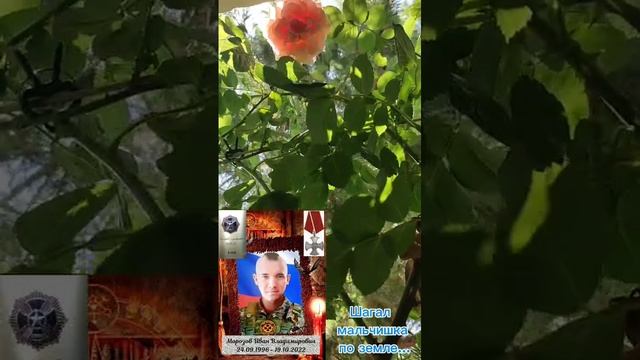 СВО Вагнер Макс Морозов