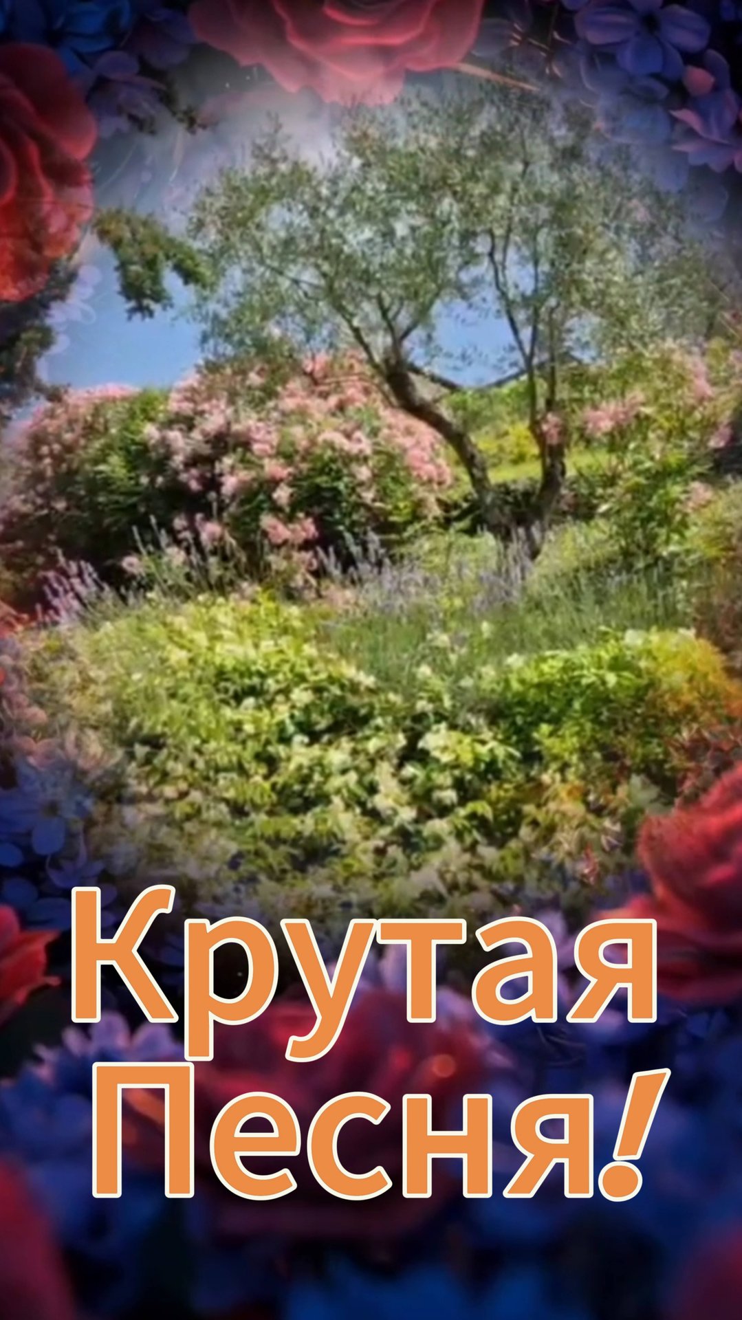 И я гляжу в небо синее синее #крутаяпесня Прослушать песню полностью ссылка в описании под видео.