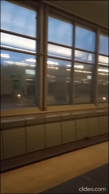 Вид на Москва-реку (Воробьёвы горы)