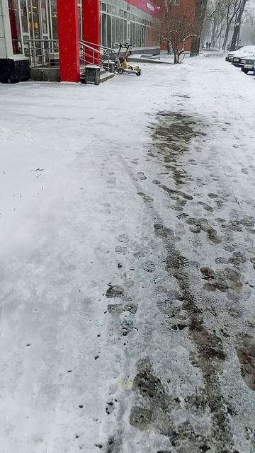 Ну так ждала же... Снег.