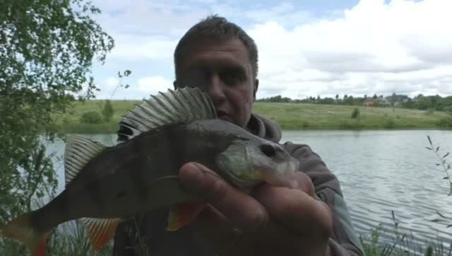 Ловля окуня на отводной поводок. Этот цвет опять выручает !!