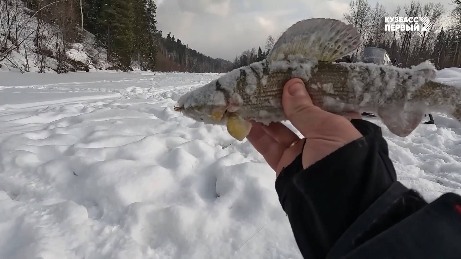 Сибирский лов. Выпуск 80