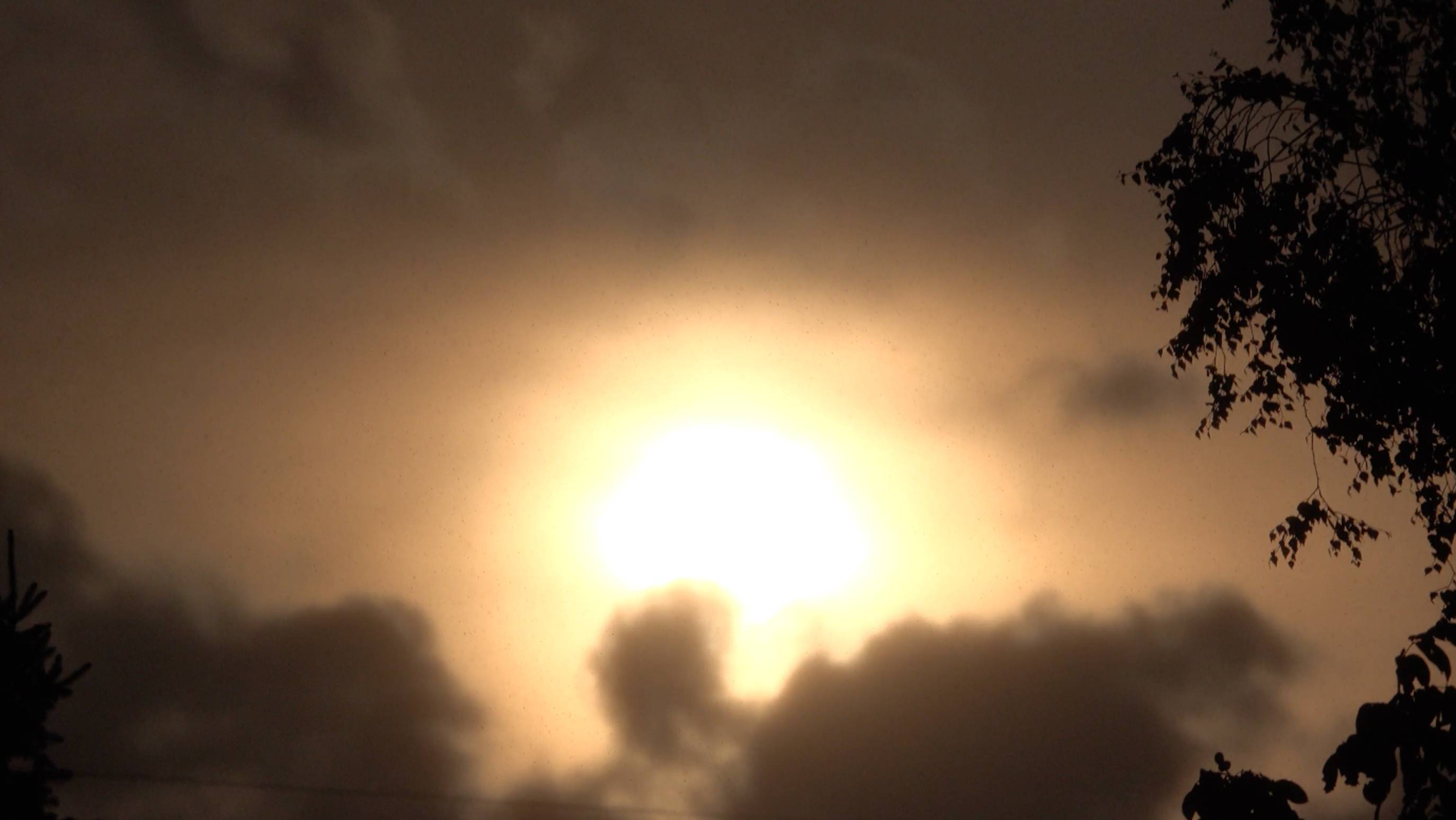 механолитическая бесстрастность