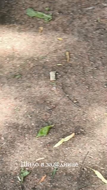 Ура!! Получилось!!! Первые шаги на улице без страха.mp4