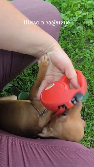 возьмите меня на ручки.mp4