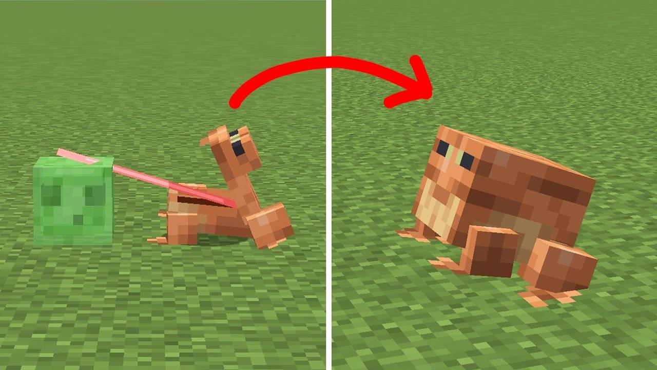 как это должно быть на самом деле