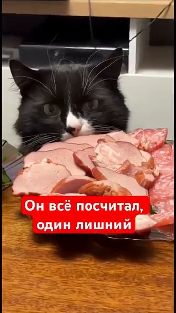 Кот посчитал куски и нашёл лишний