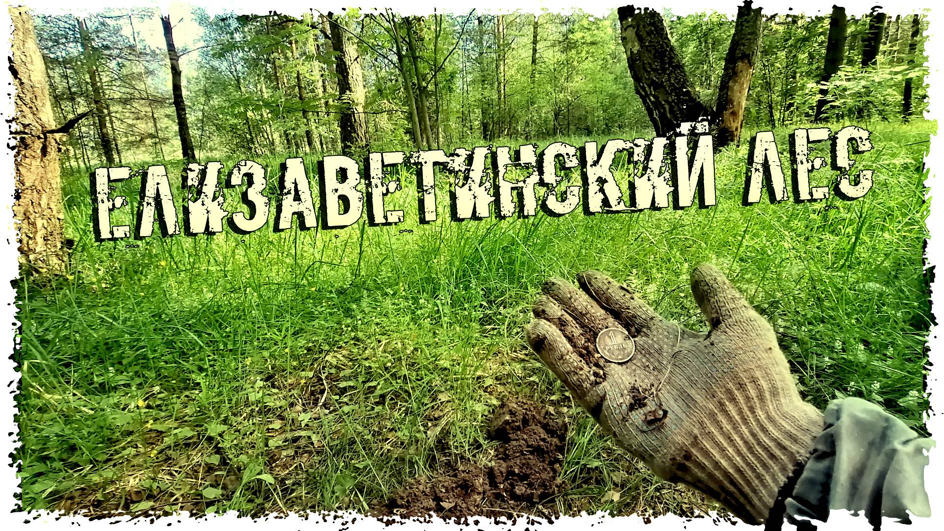 ПОИСКИ КЛАДОВ "ЕЛИЗАВЕТИНСКИЙ ЛЕС"