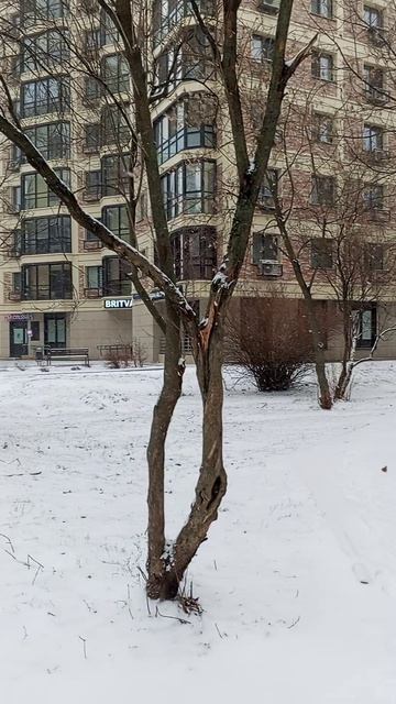 Хорошо не в шортиках