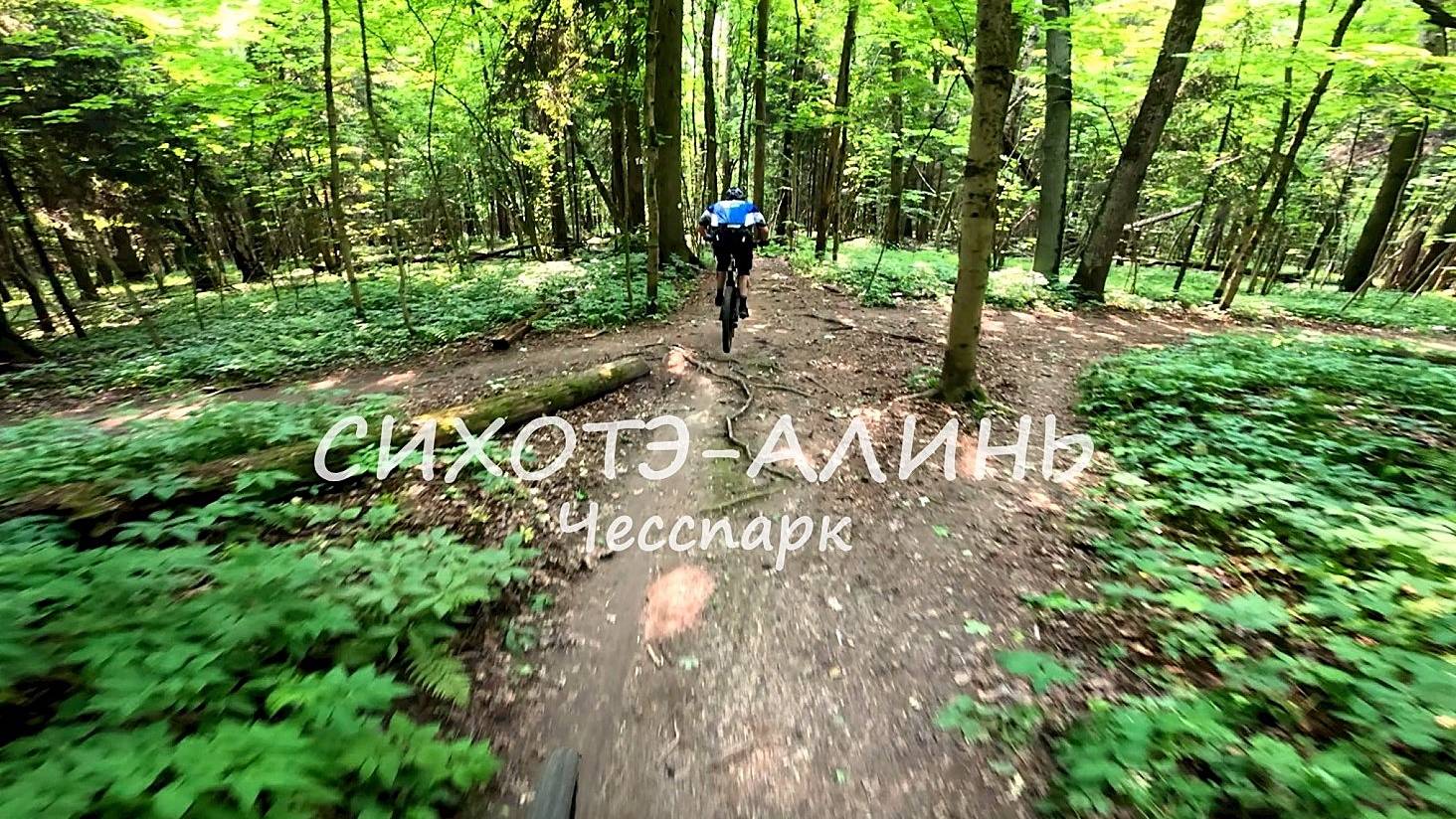 Трейл СИХОТЭ-АЛИНЬ, июнь 2025.