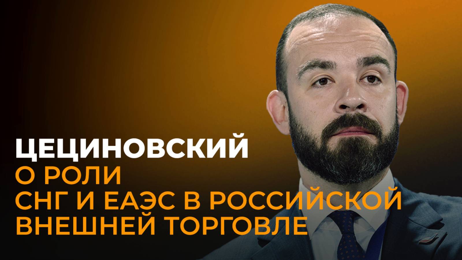 Цециновский о расчетах в нацвалютах, зонах свободной торговли и экспорте из России