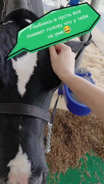 Улыбайтесь)