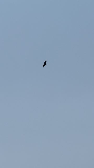 #Беларусь 🇧🇾🫶 #природа #рыбалка #fishing #nature