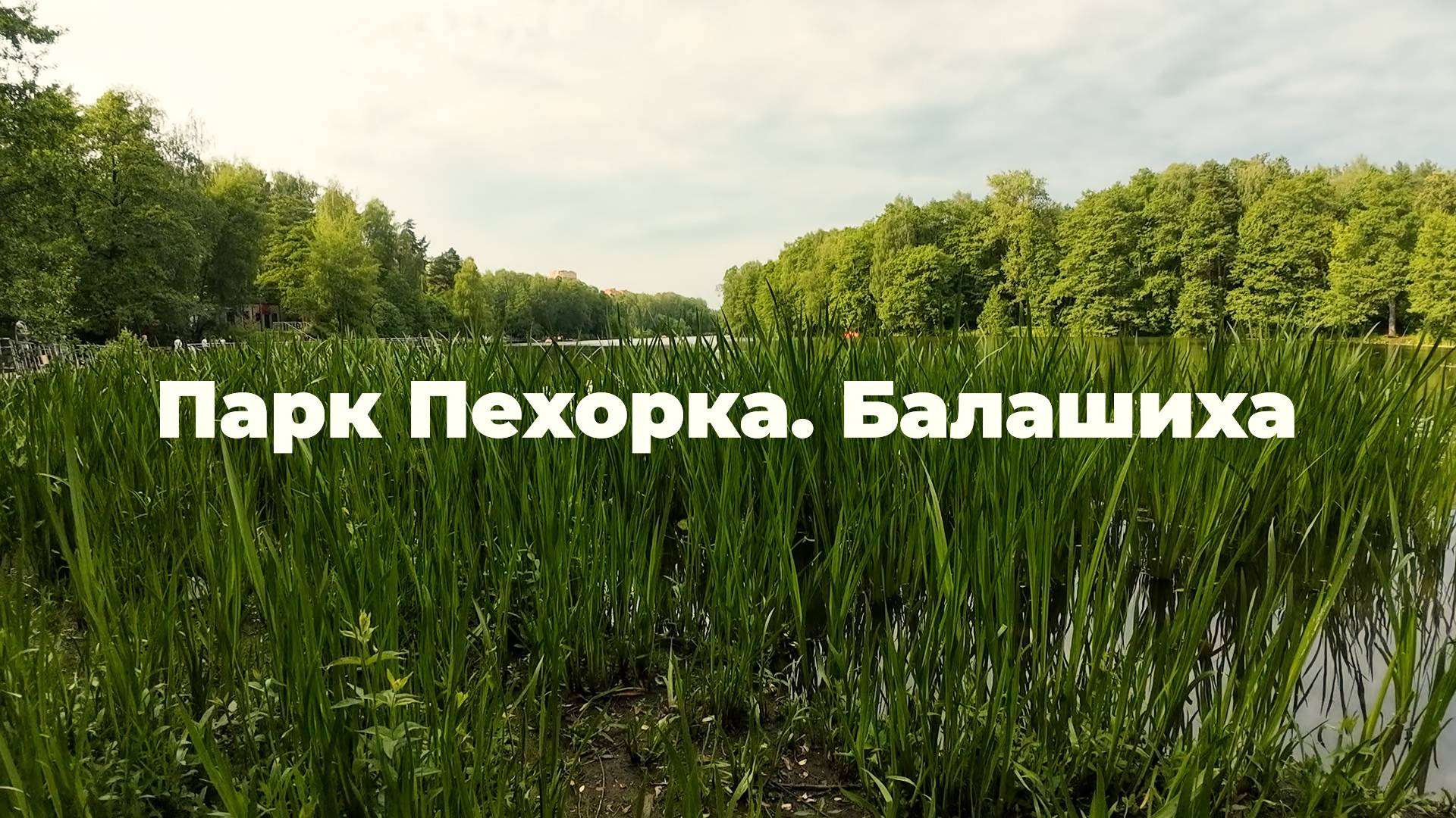 День России. Парк Пехорка. Балашиха