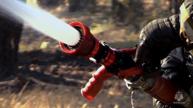 Брошенный окурок стал причиной лесного пожара в Севастополе, сообщает МЧС России