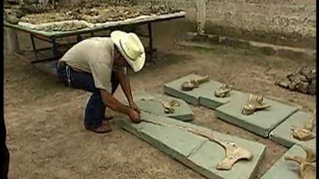 Reading Explorer - Unit 7 Dinosaur Discovery