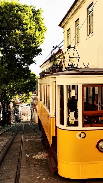 ГДЕ СПРЯТАЛСЯ ЖЕЛТЫЙ ФУНИКУЛЕР В ЛИССАБОНЕ