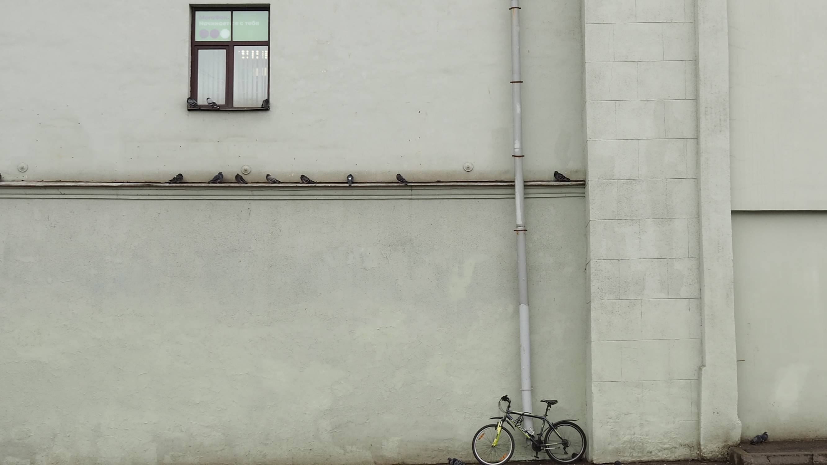 Jazz-Foto Club - Тоска (11-06-2025)