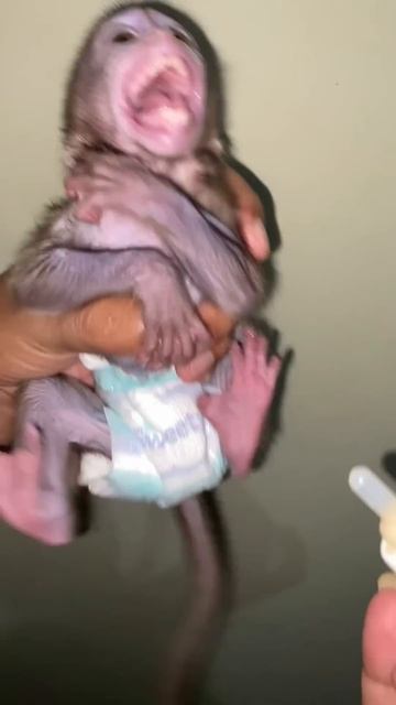 Не грамма больше.