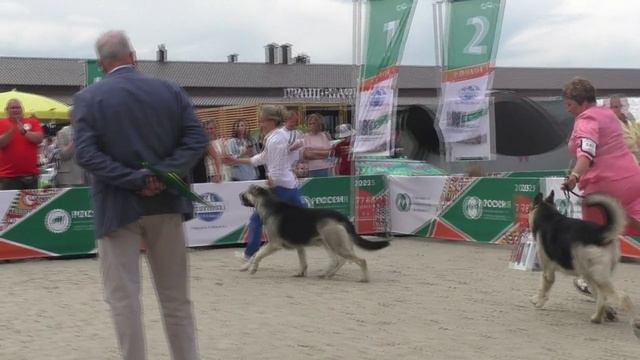 Сравнение класса чемпионов