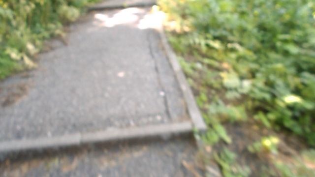 DSCN8063Железноводск июнь 2025 Аллея любви ,обзорная вокруг горы Железной.