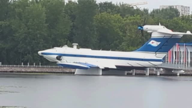 По берегу Химкинского вдхр. 20.06.2025