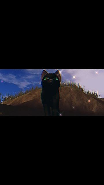 ♡Черноухая♡