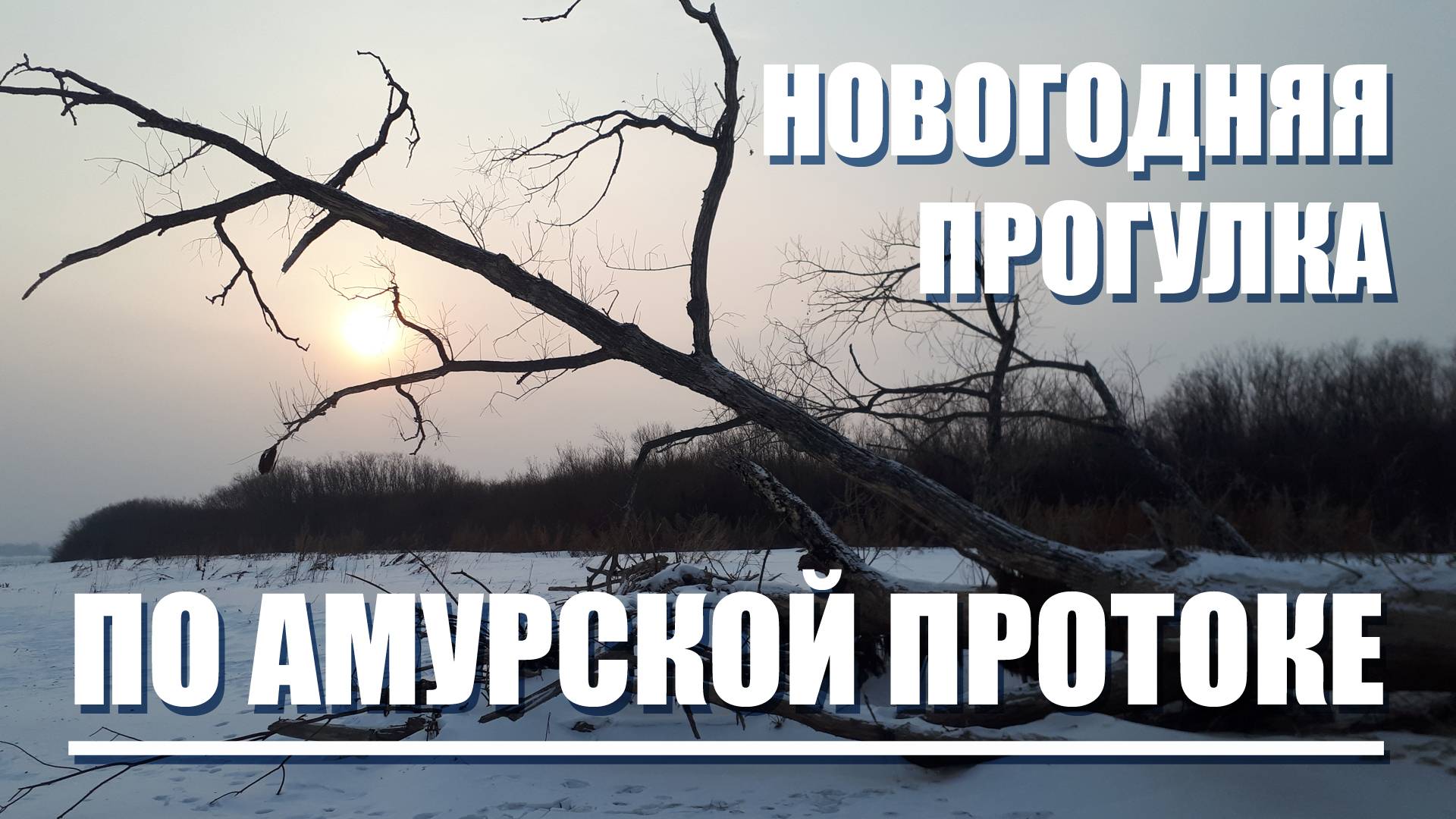 Новогодняя прогулка по Амурской протоке. 25.12.2023