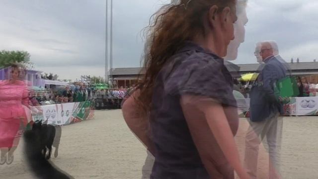 Сравнение открытого класса