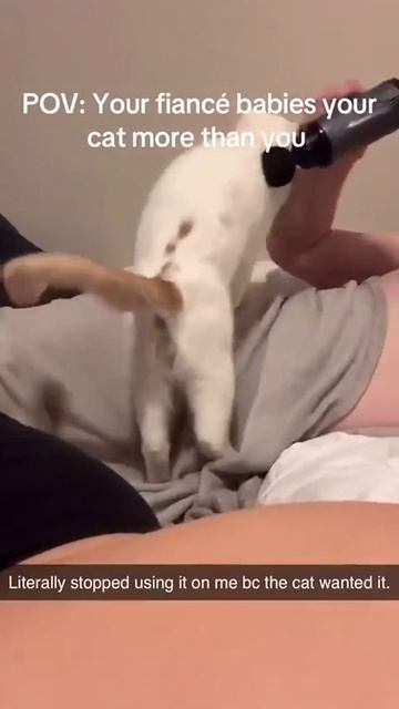 Любовь и ревность