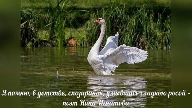 "Я помню, в детстве" - поэт Нина Игнатова